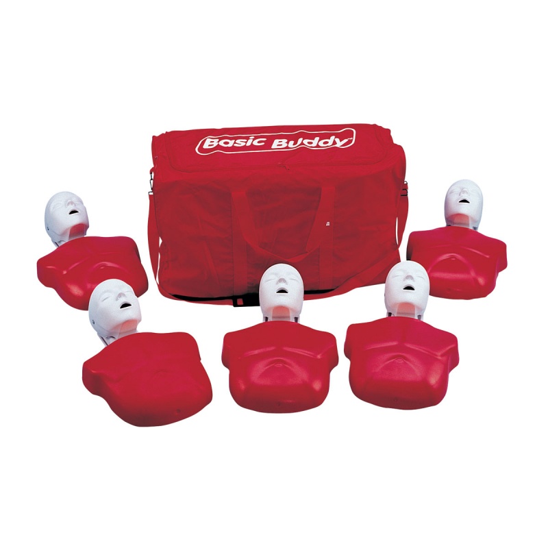 Basic Buddy CPR Mannequin (Pack of 5) - LabWorld.co.uk